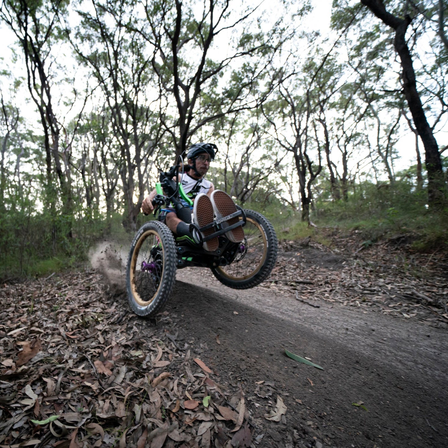 BOWHEAD RX™ ADVENTURE-E BIKE – Push Mobility