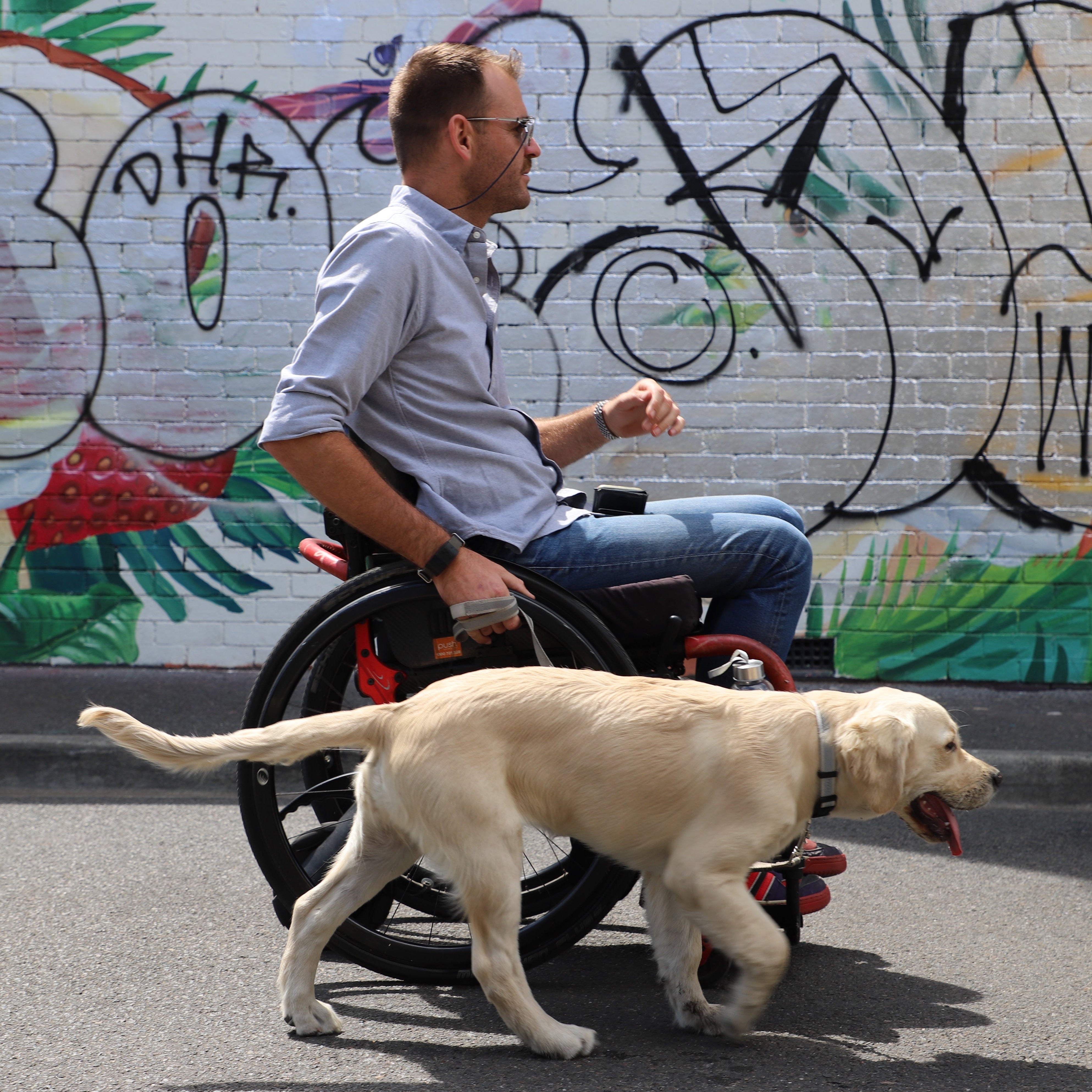 SMARTDRIVE Power Assist – Push Mobility