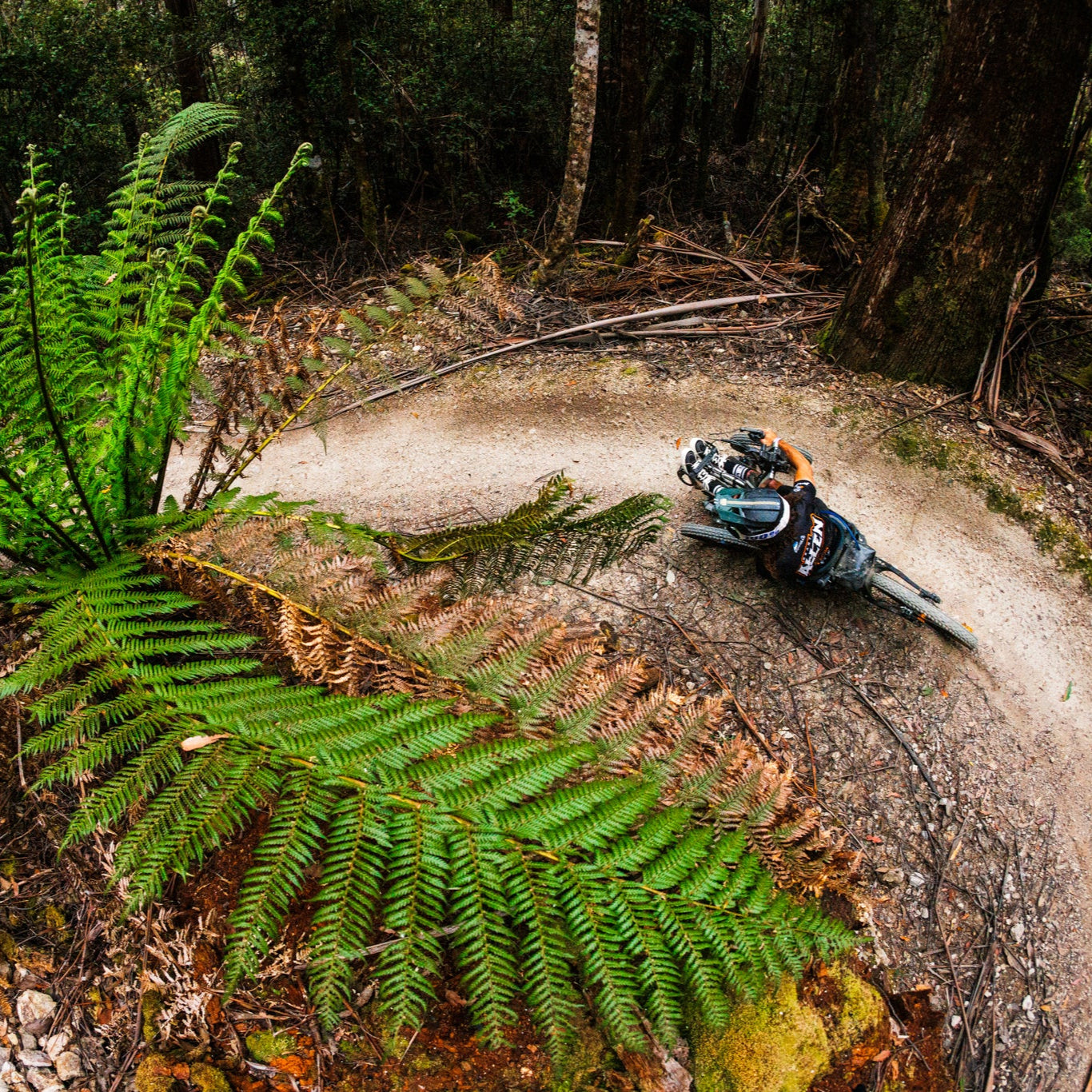 BOWHEAD RX™ ADVENTURE-E BIKE – Push Mobility