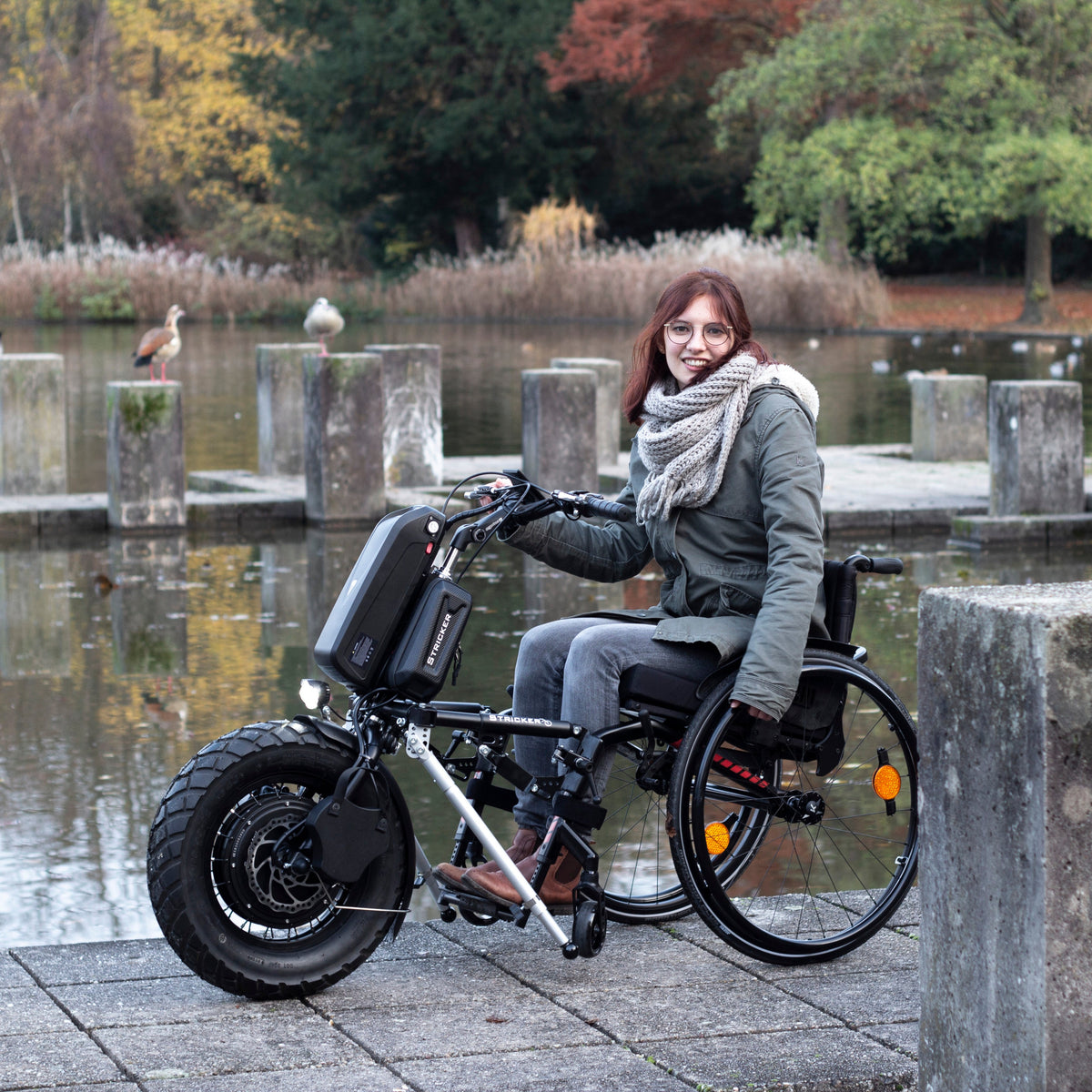 THE BEAST by STRICKER – Push Mobility